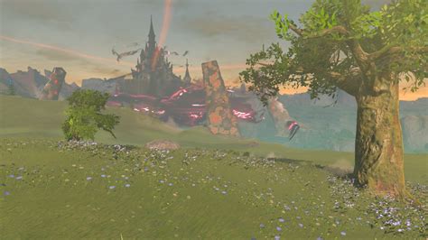 Memory 9 Silent Princess The Legend Of Zelda Breath Of The Wild