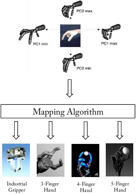 Mapping Between Human Synergies And Robotic Hands Download Scientific Diagram