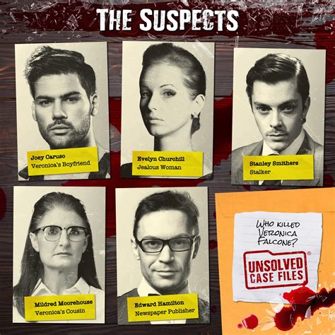Mua Unsolved Case Files Falcone Veronica Cold Case Murder Mystery