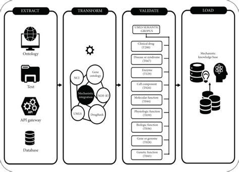 Our Methodology For Extracting Biomedical Data Information Knowledge Download Scientific