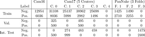 Summary Of The Train Validation Internal And External Test Splits Download Scientific Diagram