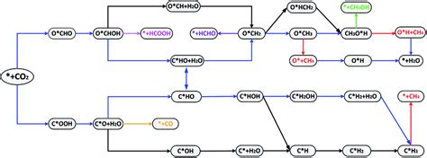 Most Likely Reaction Pathways For The Electroreduction Of Co2 On Tm Bβ12 Download Scientific