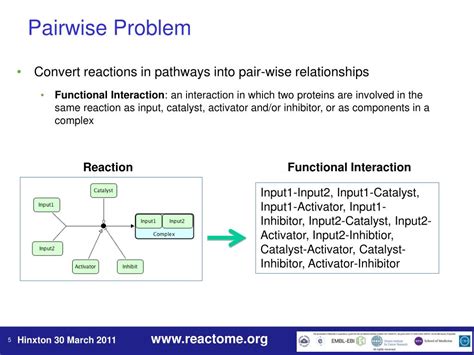 Ppt Reactome Functional Interaction Fi Network Powerpoint