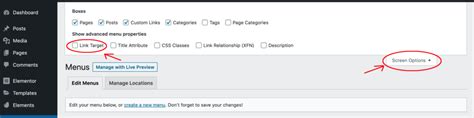 how to make specific wordpress menu open in a new tab or window