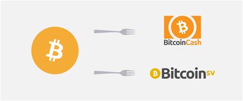 hard forks vs soft forks within Сryptocurrencies Сrypto fork explained