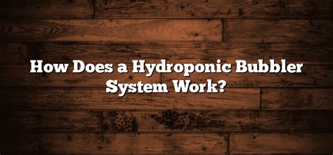 How Does A Hydroponic Bubbler System Work Inter Culturalu