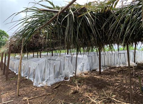 Netzero 3dexperience Lab Dassault Systèmes