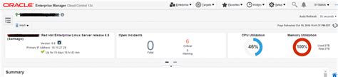 Oracle Incorrect Memory Utilization Reported For Linux Hosts In 13c Oem