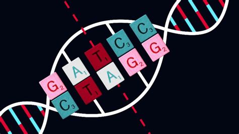the science behind genetic engineering