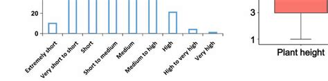 Distribution Of The Height And Boxplot Of The Potato Plant Height A