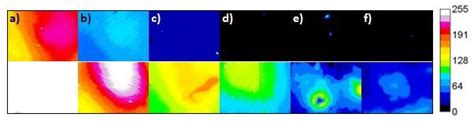 Image Drole How To Add Scale Bar In Imagej
