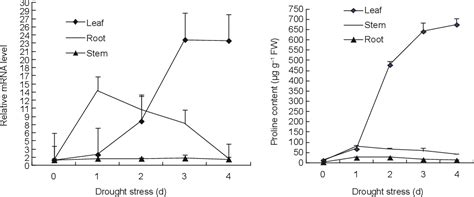 Figure 1 From Sciencedirect Cloning Of The Oat Gene And The Correlation