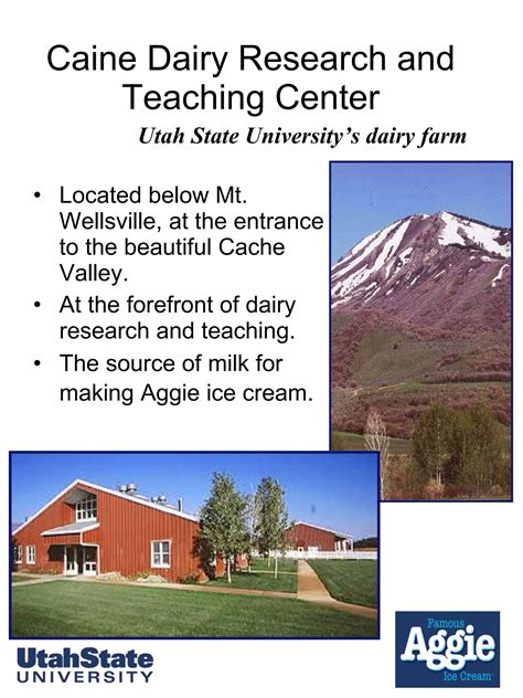 Aggie Icecream History Ppt