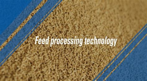 The Effect Of Feed Processing Technology On The Safety Of Feed Engormix