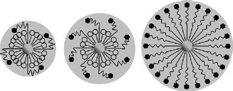 schematic representation showing the variation of shell thickness with