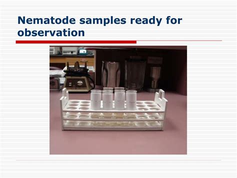 Ppt Nematode Extraction Methods Root Extraction Techniques Powerpoint Presentation Id 6089991