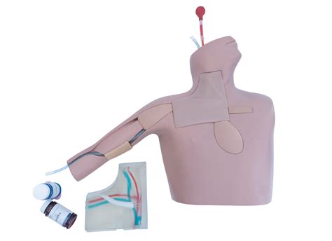 Anatomy Lab Central Venous Catheterization Ultrasound Training Model