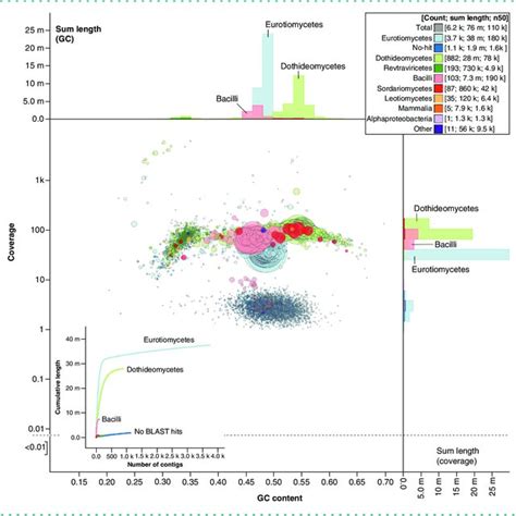 Taxon Annotated Gc Coverage Plot Blobplot Of Cmw55930 Assembly 1 Download Scientific Diagram