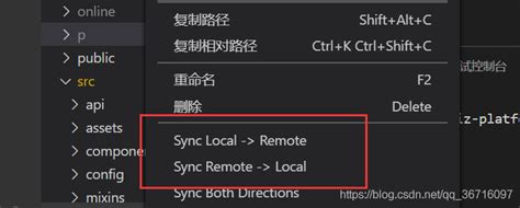 vscode插件sftp实现前端快速提交打包后的代码至服务器 前端怎么提交sftp csdn博客