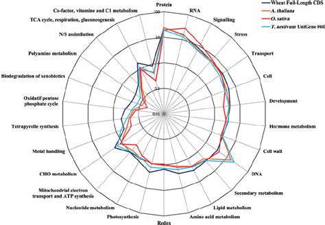 radar plot log scale of the mapman bin annotations for a thaliana