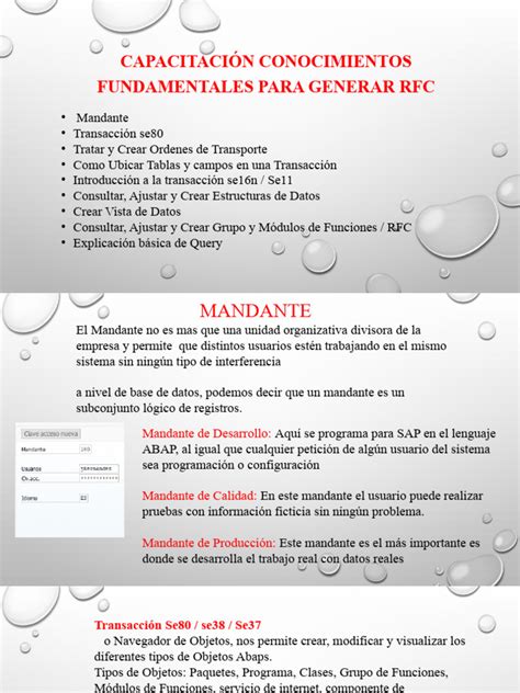 Capacitacion Rfc Abap Descargar Gratis Pdf Bases De Datos