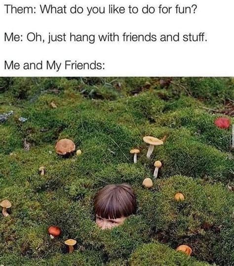 40 Funny Nature Memes For People Who Love The Outdoors