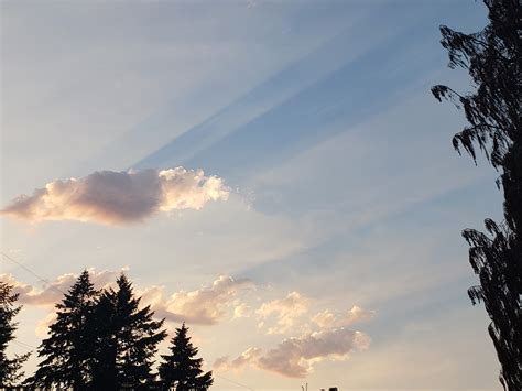 God Rays Sunset Summer Free Photo On Pixabay Pixabay