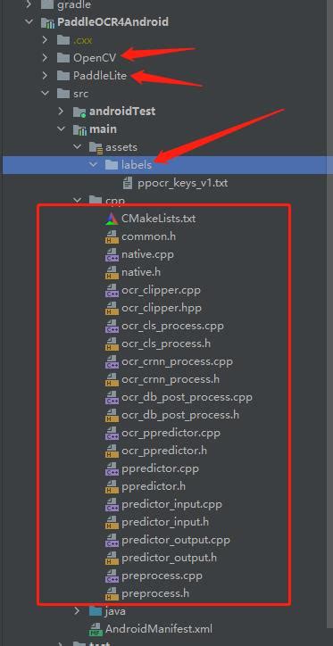 封装 Paddleocr 使其能够快速接入安卓项目使用 隐云小屋
