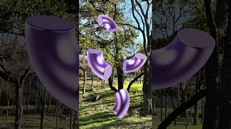 Whats Mathematical About A Tree Mathfinder