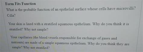 solved form fits functionwhat is the probable function of an