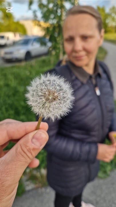 Бюджетные цветы в Таллинне Youtube