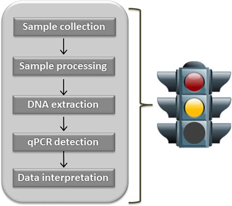 Workflow Steps For A Downstream Qpcr Sample Analysis Analogous To A