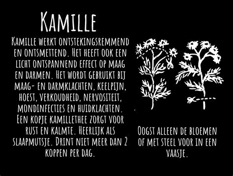 Kamille Stadstuinderij Noordoogst