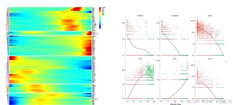 单细胞数据能解答哪些生物学问题？——进阶单细胞分析单细胞表达某个基因的细胞与其他细胞相关性 Csdn博客