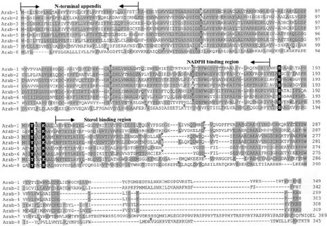sequence alignment of eight putative sterol binding download
