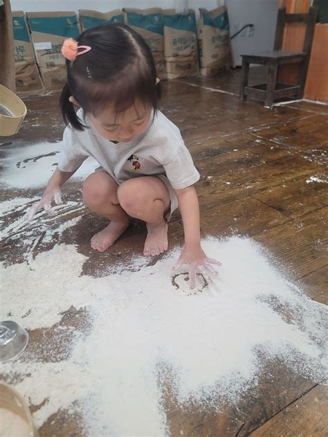 현장체험학습 가루야~ 가루야 감성체험전 미술놀이터 천사들~~ 미술놀이터어린이집