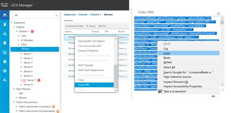 Best Practices Monitor Cisco Ucs Using Xml Apis And Python Sdk