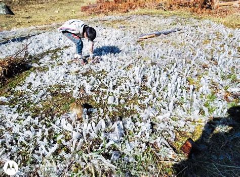 Heladas En Primavera Afectan Cultivos En Zonas Altas De La Región De Arequipa Edicion Correo