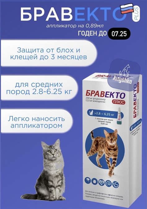 Бравекто для крупных кошек 2,8-6,25 кг - купить с доставкой по выгодным ...