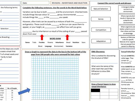 Revision Lesson And Mat For Inheritance And Selection Teaching Resources