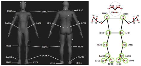 Bioengineering Free Full Text Improving Gait Analysis Techniques
