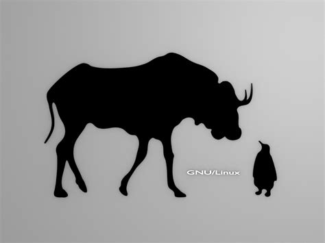 Linux Gnu Tux Wallpapers Hd Desktop And Mobile Backgrounds