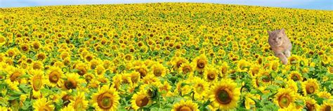 Naked Luigi Nakedluigi Twitter