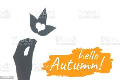 손에 단풍 잎 벽에 그림자 흰색 배경에 안녕하세요 가을 가을 배경에 텍스트 공간을 복사합니다 창조적 인 가을 가을 자연 시즌 최소한의 배경 0명에 대한 스톡 사진 및 기타