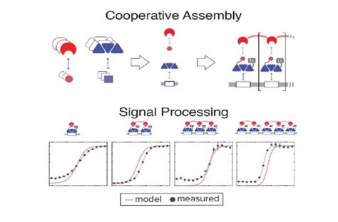 Digital Signal Processing Lab University Of Information Technology