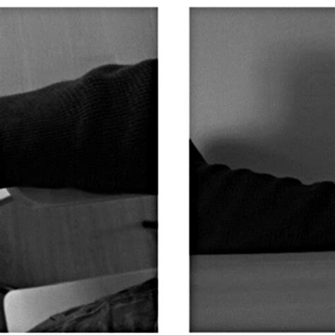 Ruler Drop Test Simple Testing Procedure Download Scientific Diagram