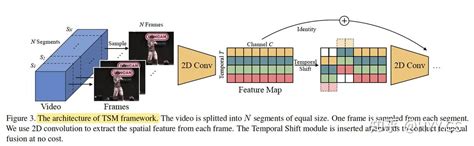 视频理解 temporal shift module tsm 知乎