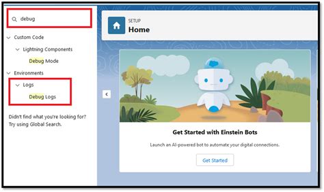 Salesforce Debugapex Logs