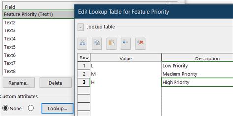 How To Create Custom Fields In Microsoft Project Cana Coder