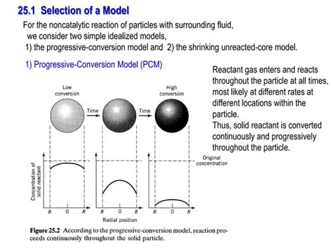 fluid particle reaction ppt pdf